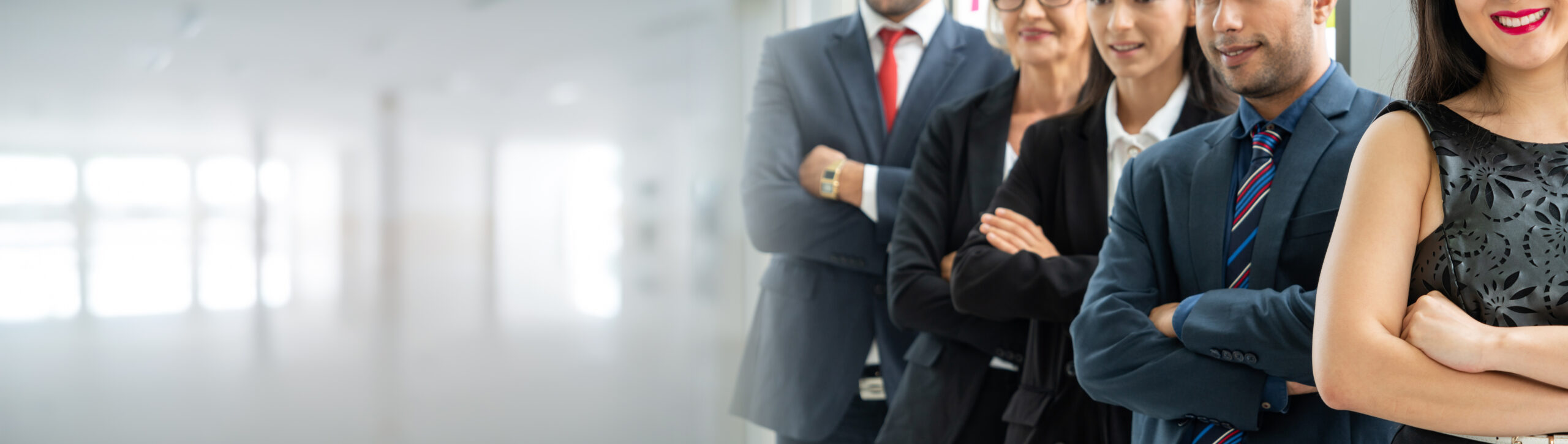 Who We Are - IDHR Consulting